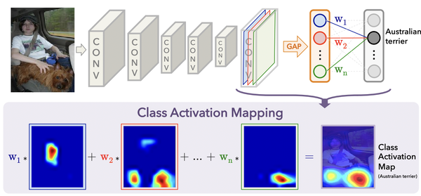 Score-CAM: Score-Weighted Visual Explanations for Convolutional Neural ...