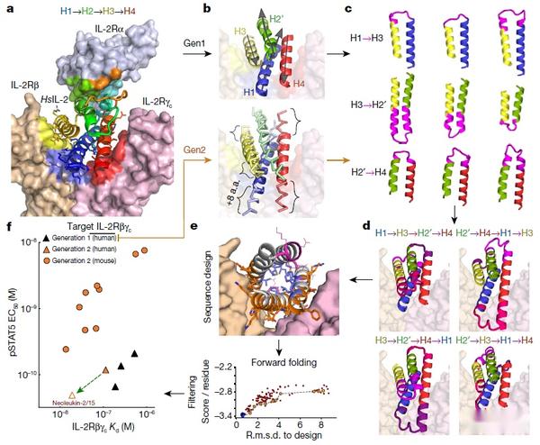 Consensus Design在抗体改造领域的重要地位 - 知乎
