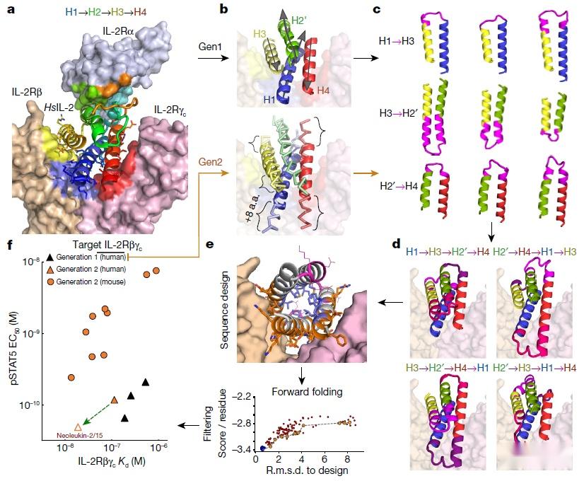 Consensus Design在抗体改造领域的重要地位 - 知乎