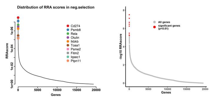 crispr screen——基因RRA散点图 - 知乎