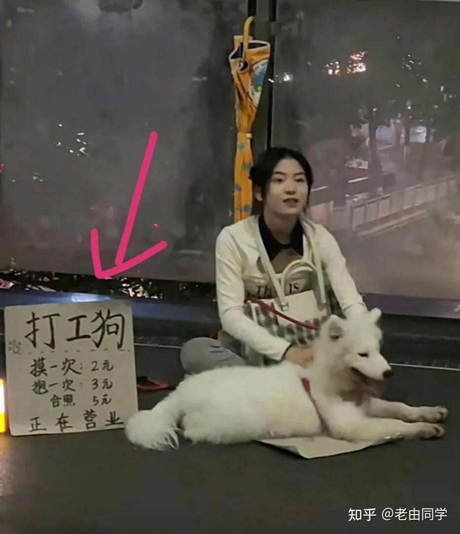 求特别搞笑的图片或动态图，笑死人的那种？ - 知乎