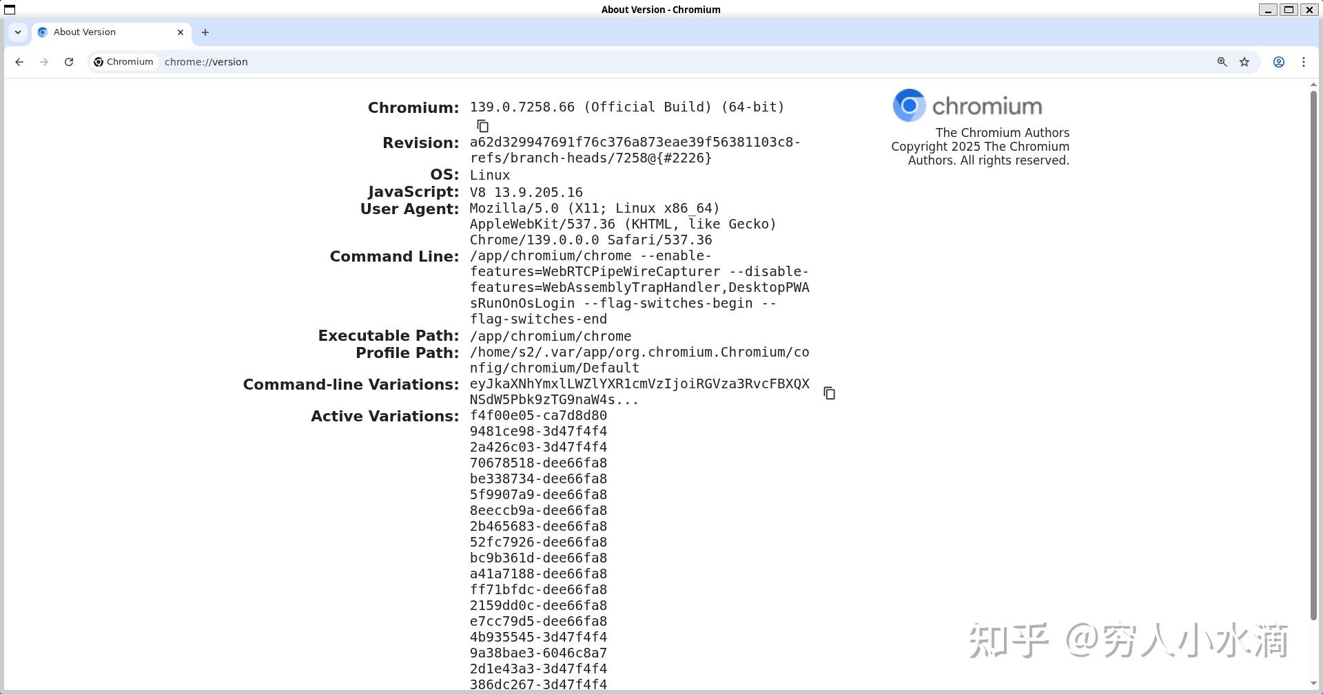 在 windows 运行 flatpak 应用 (WSL) - 知乎