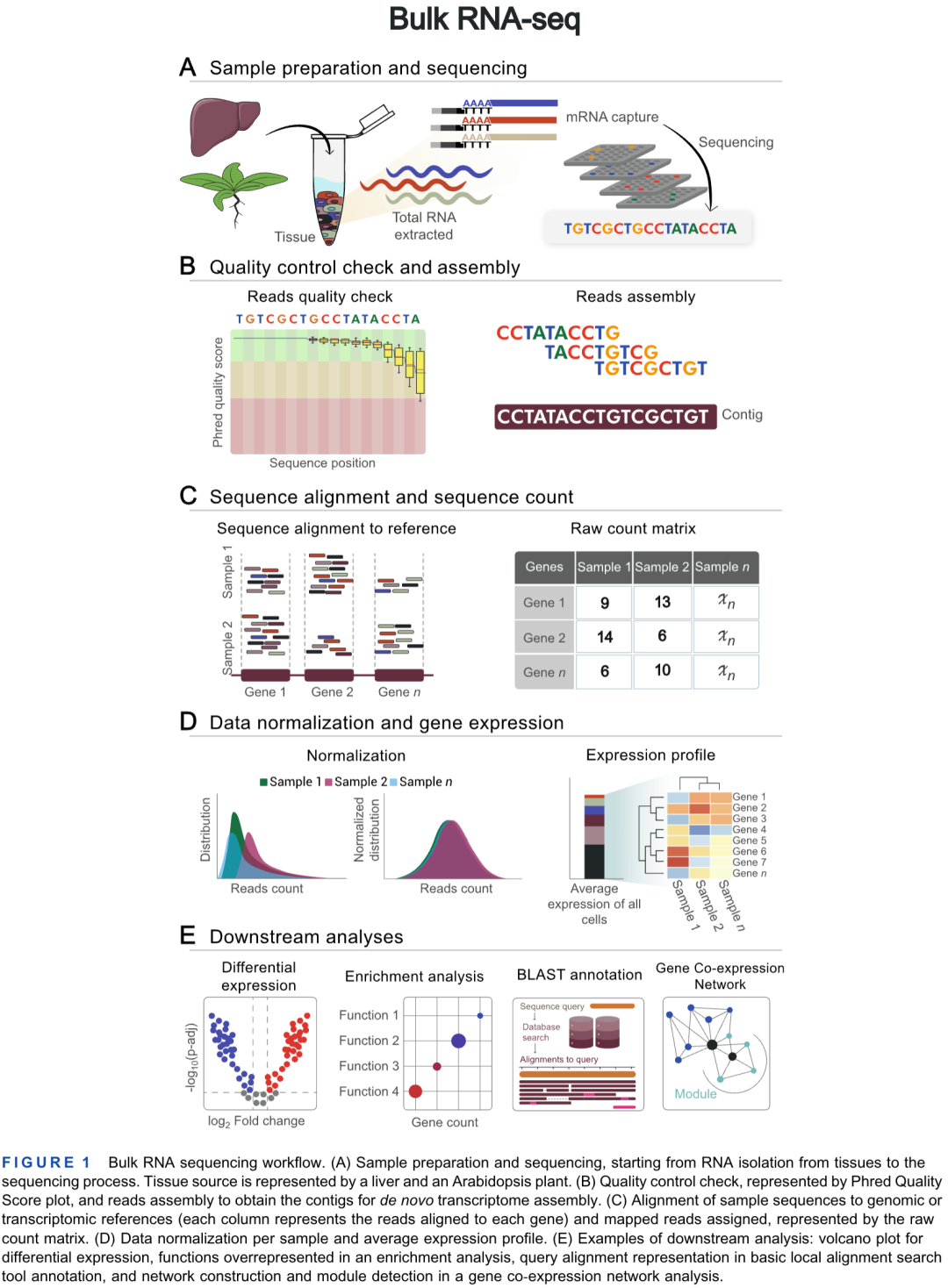 RNA-seq和scRNA-seq的生物信息学分析全面比较 - 知乎