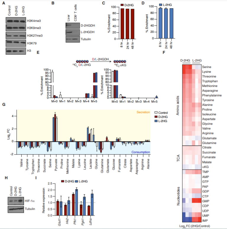 Science | 肿瘤代谢物D-2HG削弱附近的免疫细胞 - 知乎