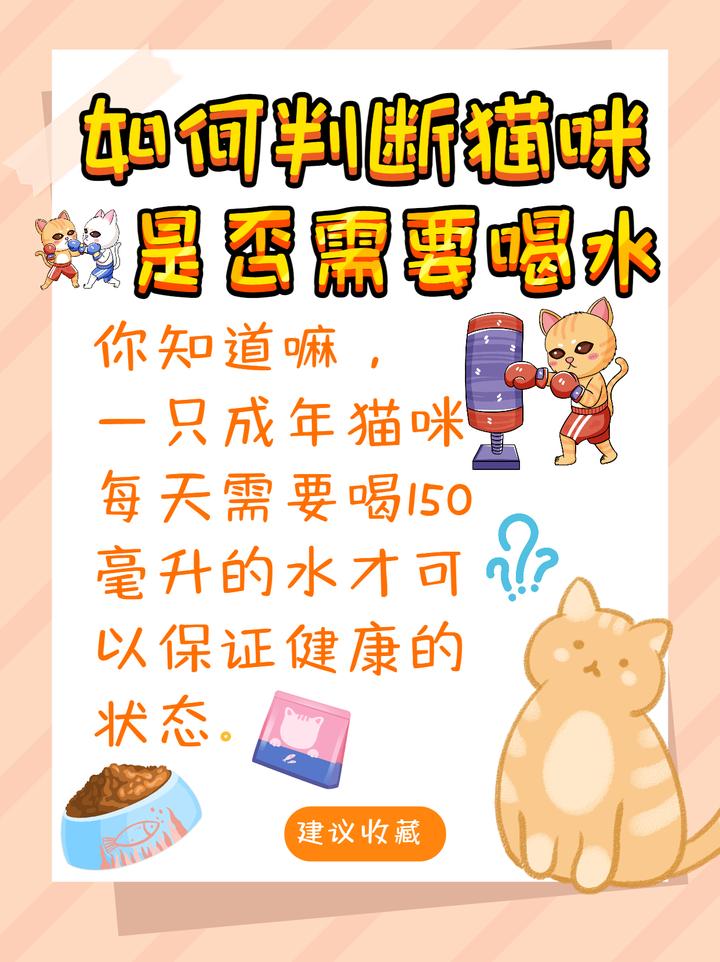 如何判断猫咪 是否需要喝水 知乎