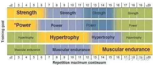 不懂RM的力量训练就是瞎练！ - 知乎