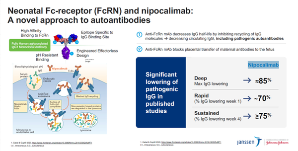 自免靶点FcRn单抗研发进展汇总 - 知乎