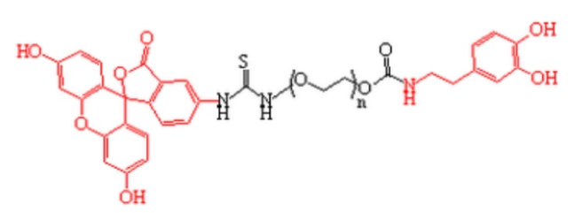 Fluorescein-PEG-Dopamine中多巴胺部分具有强粘附性 - 知乎
