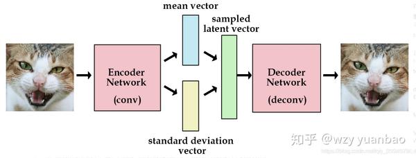 AE、VAE、CVAE解读 - 知乎