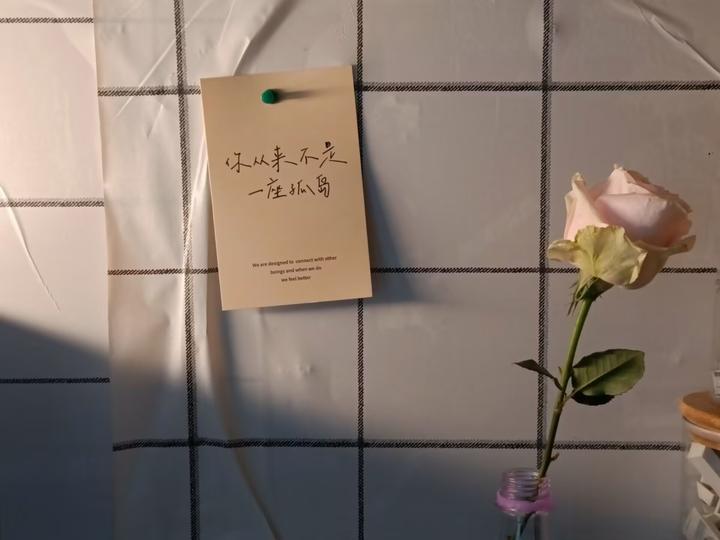 Codeforces Round #838 (Div. 2) - 知乎