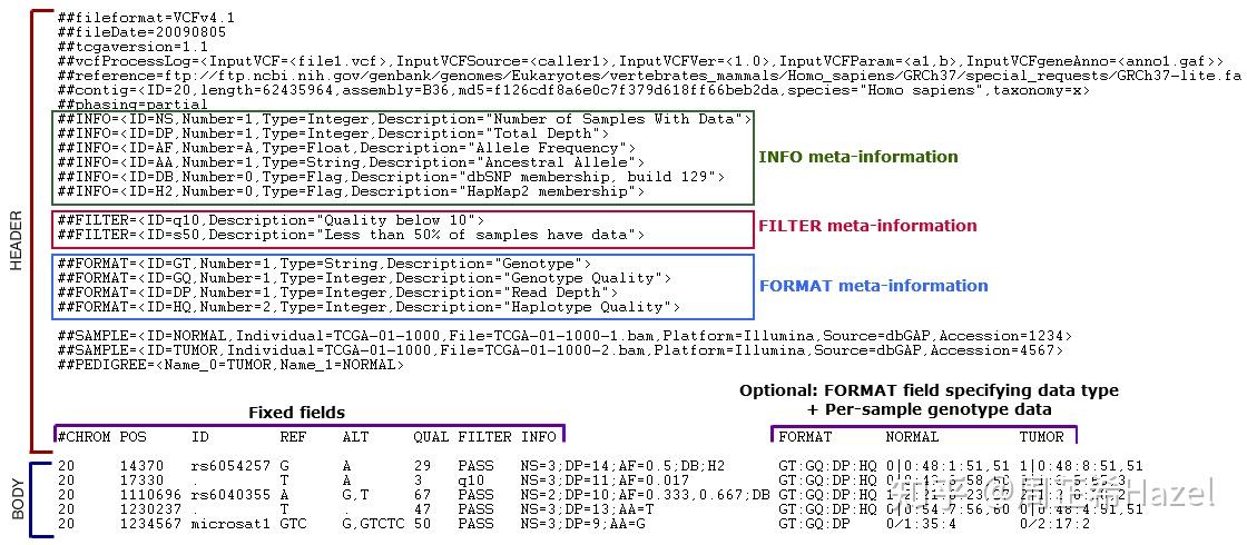 生信log36|如何处理超大的文件：以处理VCF文件为例附python解决方法和策略 - 知乎