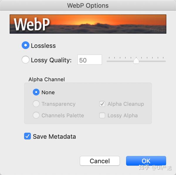 Photoshop如何打开、编辑和导出Webp格式图片的方法 - 知乎