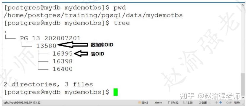 【赵渝强老师】PostgreSQL的数据文件 - 知乎