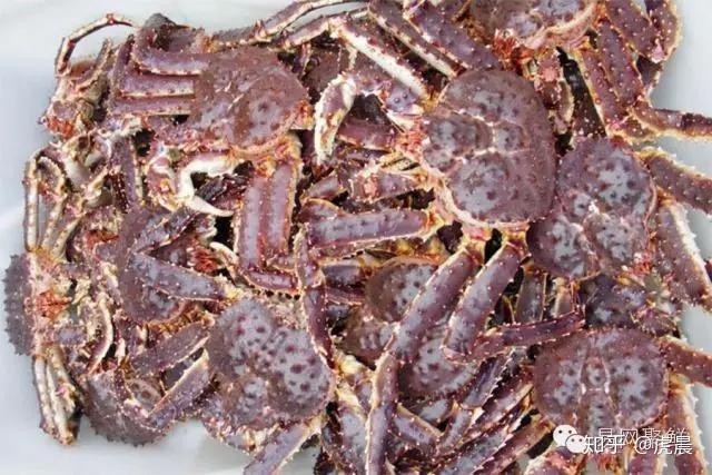 进击的巨蟹——俄罗斯帝王蟹 - 知乎