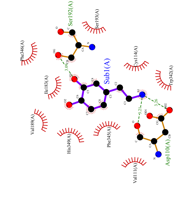 软件分享|| LigPlot+ 分子间相互作用分析 - 知乎