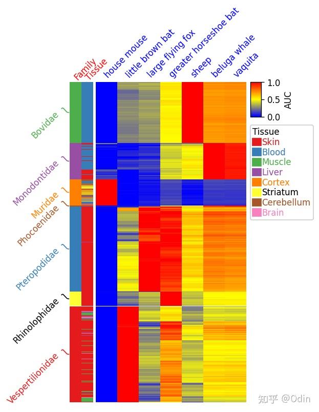 PyComplexHeatmap进阶教程：用python画热图的【行】/【列】注释信息 - 知乎