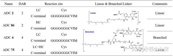 国内外知名企业ADC技术平台(第六期，LegoChem） - 知乎