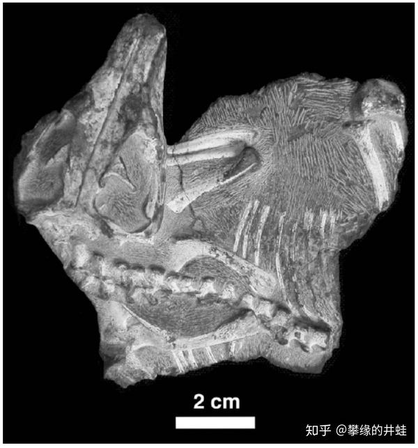 第二百五十六回 百兽图9：白云苍狗 - 知乎