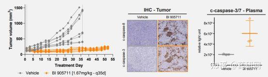 消化道肿瘤靶点新星：CDH17 - 知乎