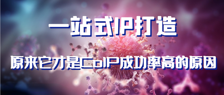 一站式IP打造|原来它才是CoIP成功率高的原因 - 知乎