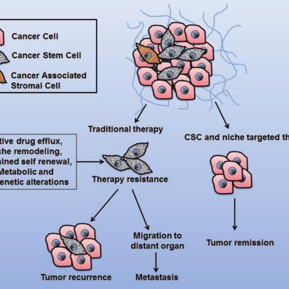 Can Cell | 肿瘤内异质性（ITH）的重复表达模式及其功能 - 知乎