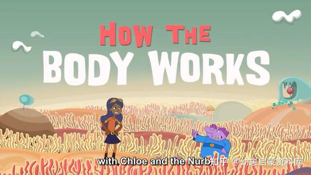 给孩子的人体器官运转科普动画《How your body works》，一起探索身体的秘密 - 知乎