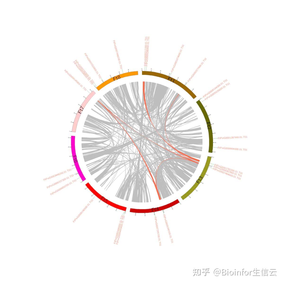 基因家族分析（7）种内共线性分析及circos绘图 - 知乎