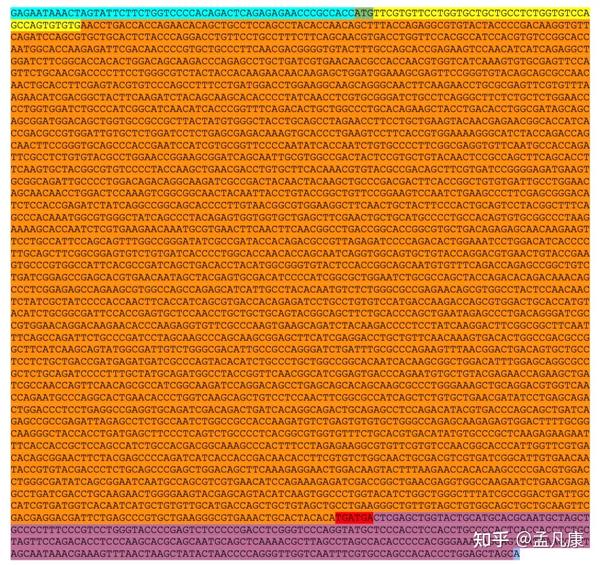 mRNA疫苗序列设计遭破解，BioNTech/辉瑞 & Moderna 详细序列在Github公布 - 知乎