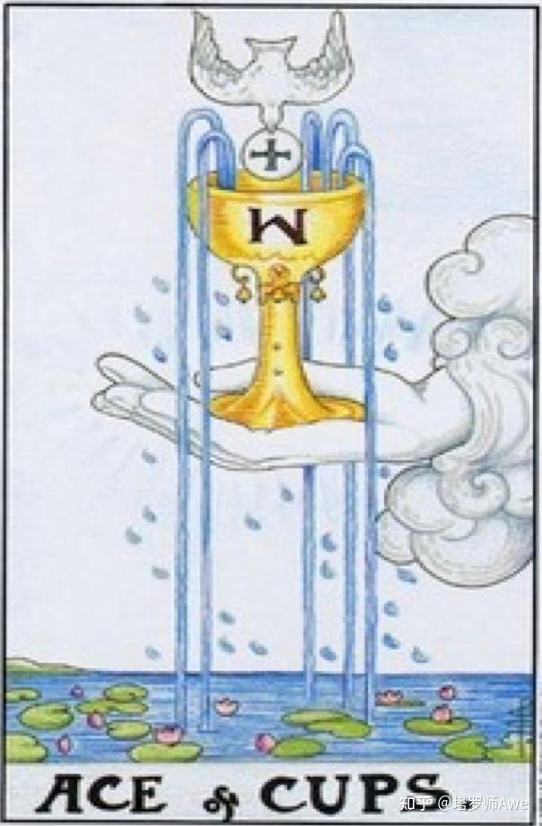 圣杯1（史上最全实用干货💕）#笔记分享 - 知乎