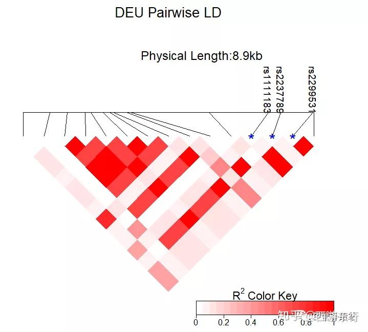 LDheatmap | SNP连锁不平衡图（LD）可视化，自己数据实现版！ - 知乎