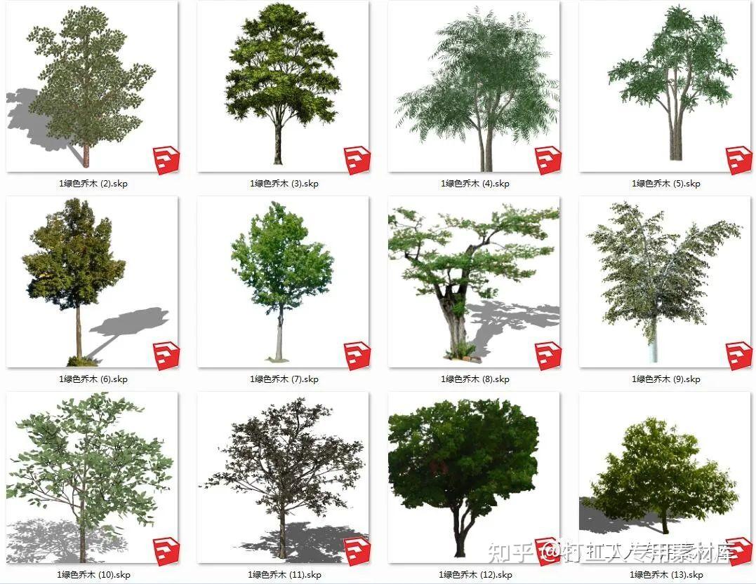 超全SU常用植物库素材大合集（2D、3D的写实风手绘风树木、灌木、花卉、盆栽均有） - 知乎