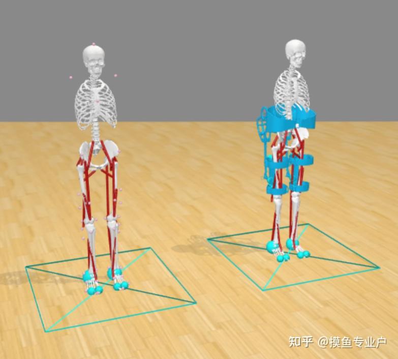 Opensim外骨骼人机耦合仿真分析教程 - 知乎
