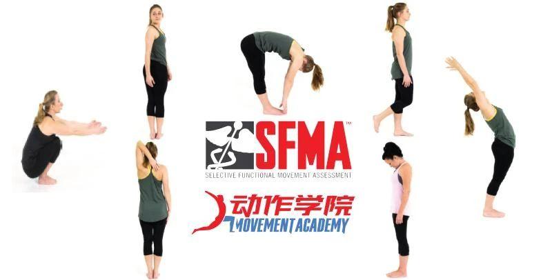 关于下背痛治疗的困惑，SFMA或许可以帮助你 - 知乎