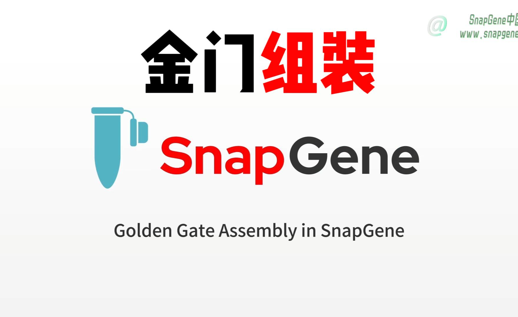 SnapGene 金门组装_Golden Gate Assembly - 知乎