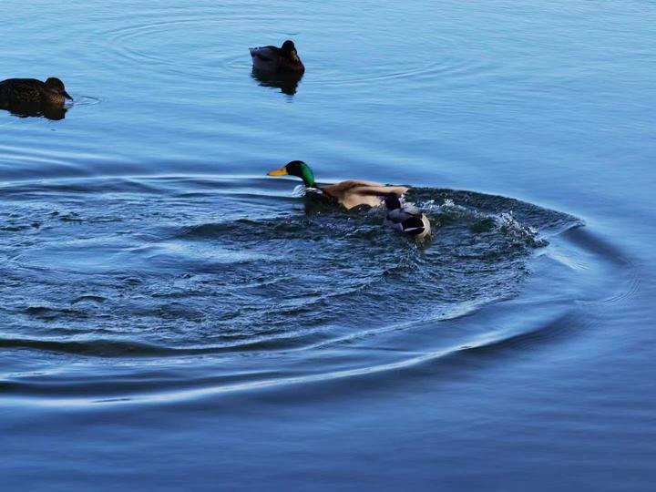 CATTI和MTI每日一译Day806 - 知乎