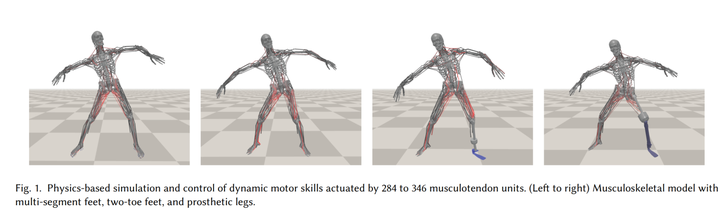 [paper reading] Scalable Muscle-Actuated Human Simulation and Control 可 ...