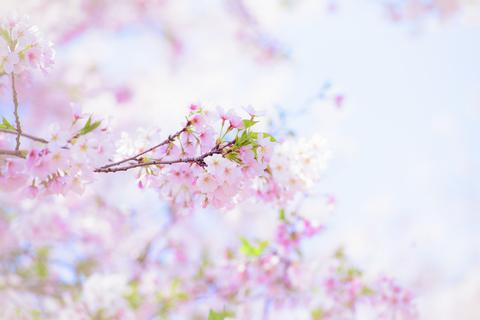 git 电脑端提交失败schannel: next InitializeSecurityContext failed: Unknown error (0x80092013） - 知乎