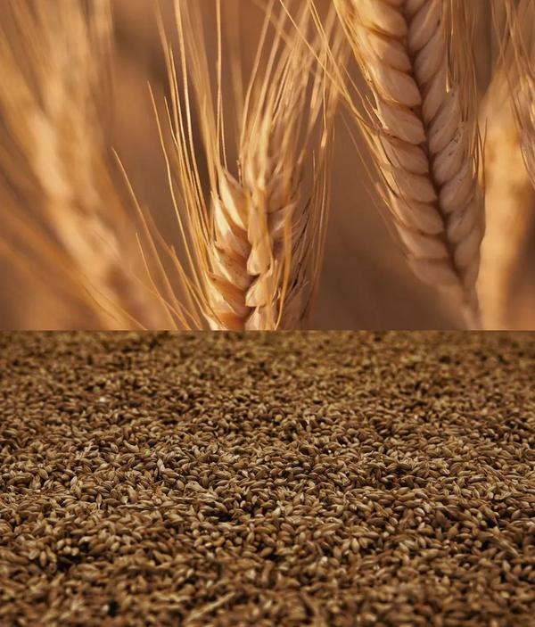 泛域设计FununitDesign新作 | 盘古汇，从混沌中走来 - 知乎