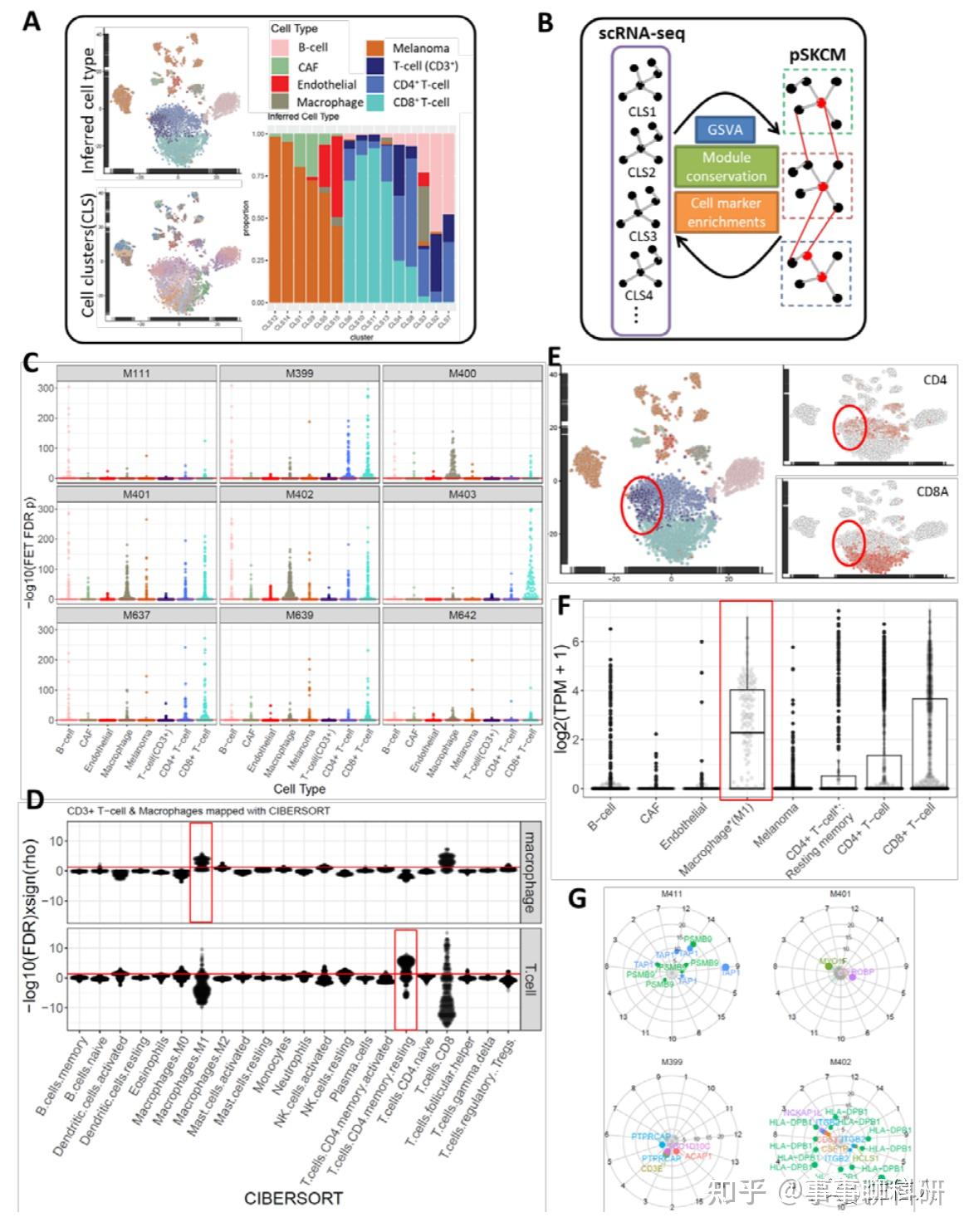 生信分析 还用WGCNA做共表达？你凹凸了！ - 知乎