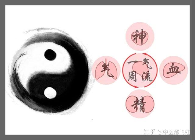 中医所谓的"气"是指什么？值得一看的"气"的生成运行和功能分类! - 知乎
