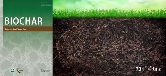 BIOCHAR专刊征稿：生物炭修复新兴无机物污染环境 - 知乎