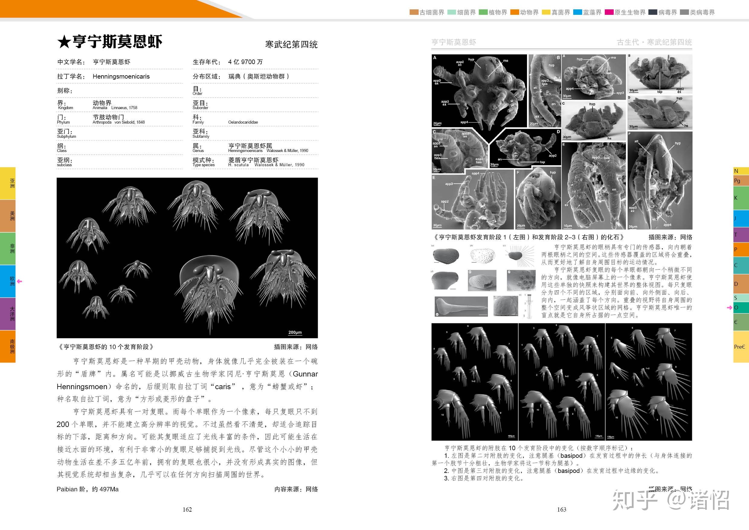 《生物简史图鉴》寒武纪之瑞典（奥斯坦型化石） - 知乎