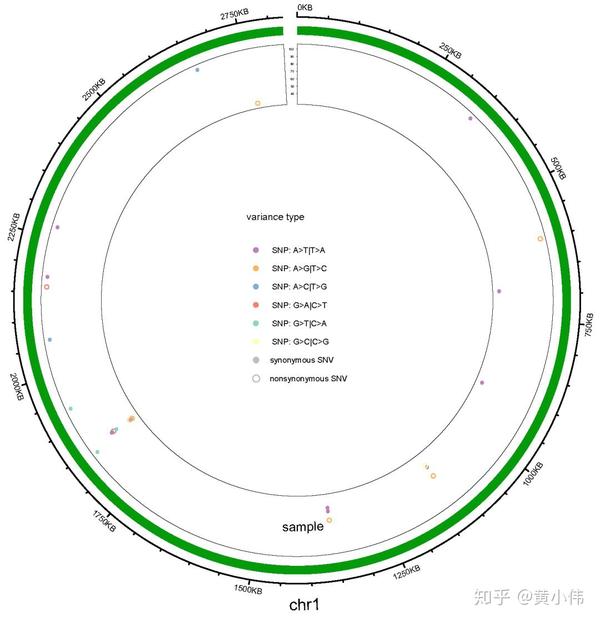 R包circlize绘制特定SNP、InDel位点标识的基因组圈图 - 知乎