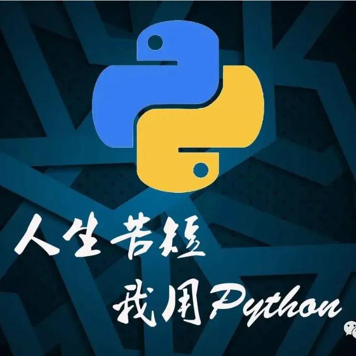 Python零基础入门教程02 运算符 知乎 2334