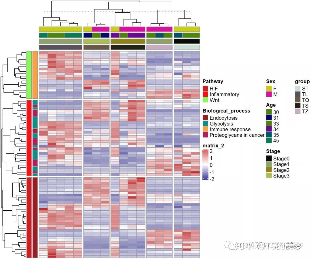 热图4：ComplexHeatmap画复杂热图行列注释 - 知乎