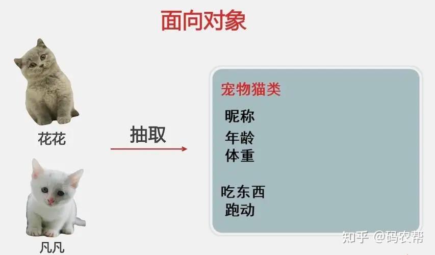 类与对象的概念如何在实际编程中应用? 知乎