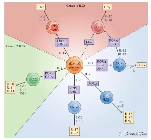 小优博士在线流式课堂—第128讲：ILC的流式解决方案 - 知乎