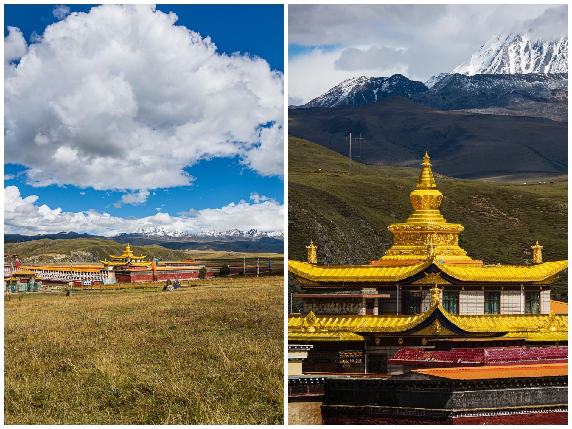 第一台相机，应该买 APS-C 画幅还是全画幅 ？ - 知乎