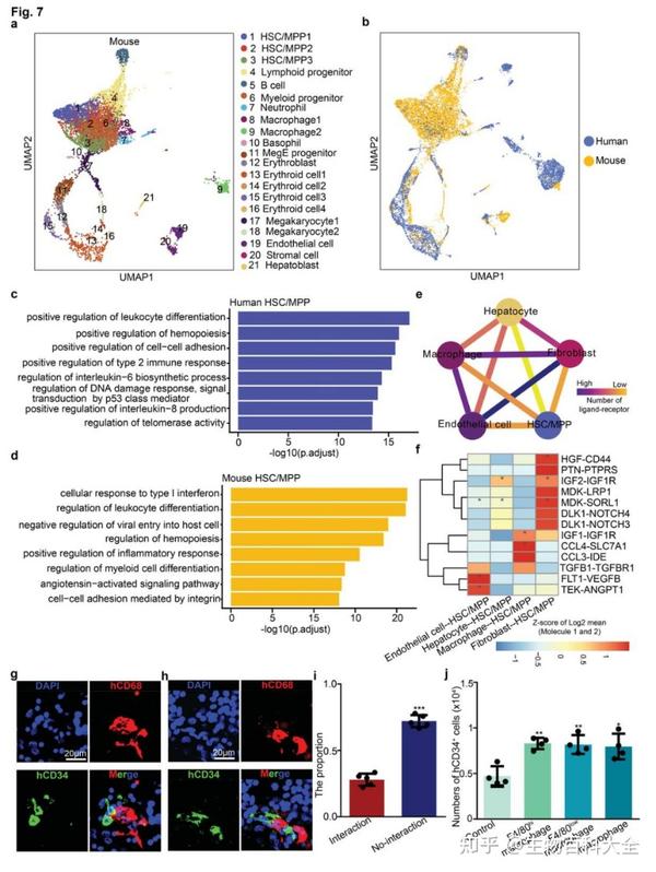 文献解读|胎儿肝脏中HSC/MPPs扩增单元的时空转录谱鉴定 - 知乎