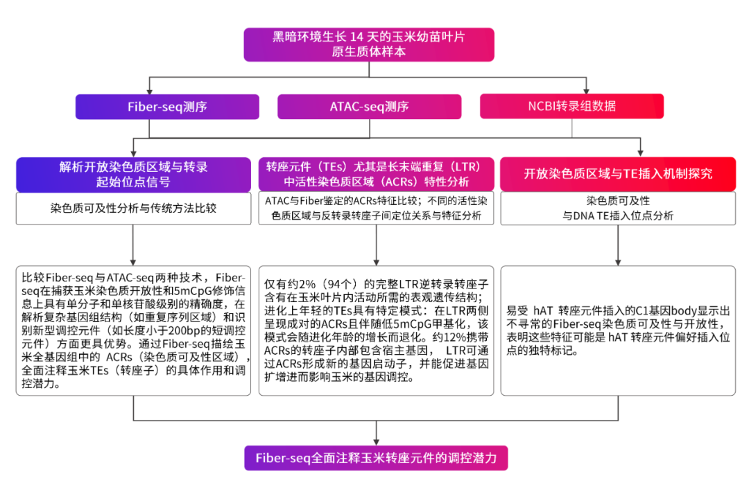 Fiber-seq丨贝瑞基因引领探索Fiber-seq高清图谱重塑动植物多组学研究版图 - 知乎